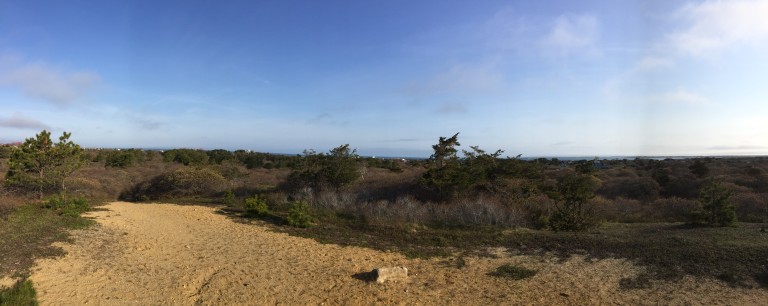 Nantucket Walkabout | 2-Hour Guided Wilderness Hikes
