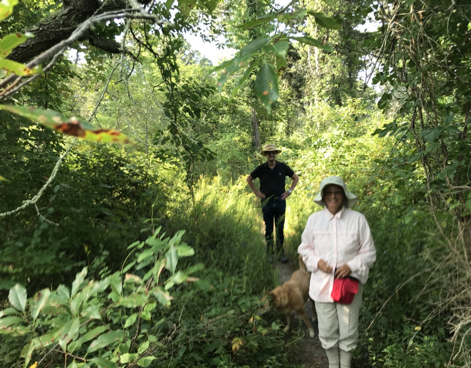 Lost Farm Sanctuary | Nantucket Walkabout | 2-Hour Guided Wilderness Hikes