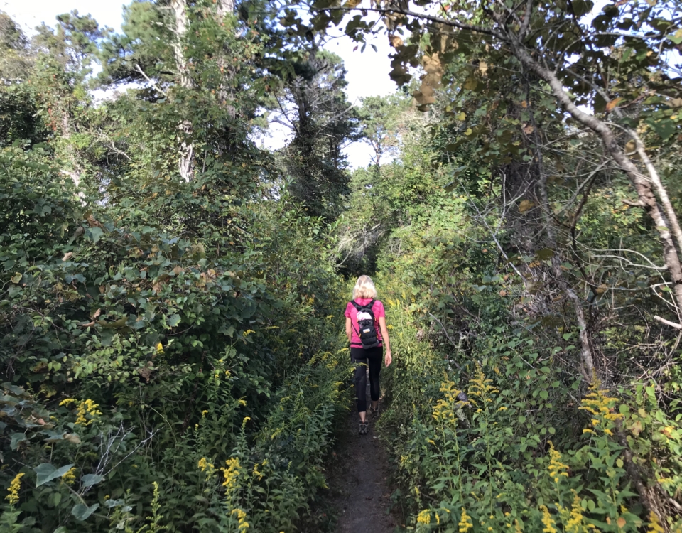 Lost Farm Sanctuary | Nantucket Walkabout | 2-Hour Guided Wilderness Hikes
