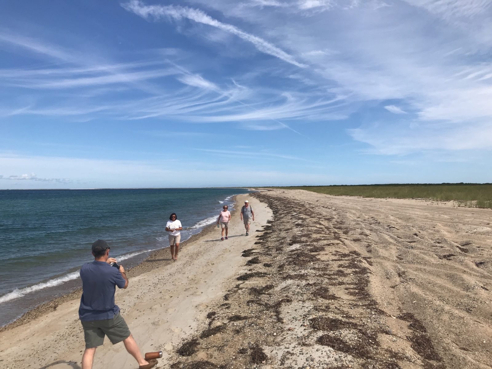 Nantucket Walkabout | 2-Hour Guided Wilderness Hikes